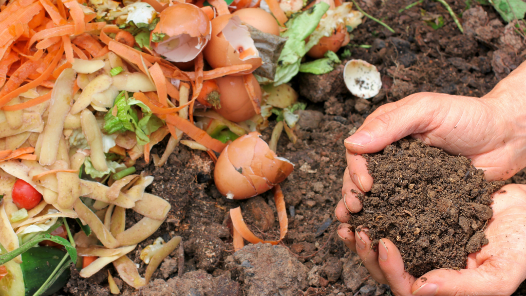 5 composting tips for conscientious businesses | Everflow Utilities